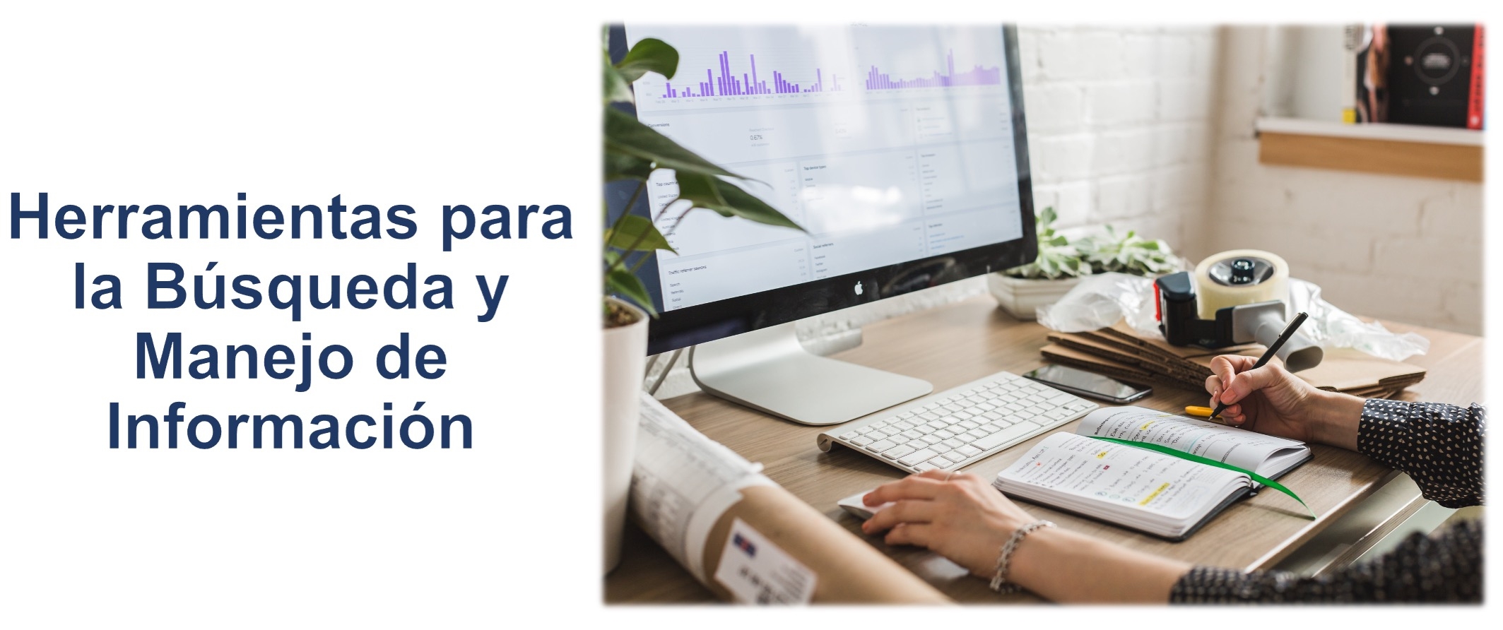 UAIM: Todos los cursos